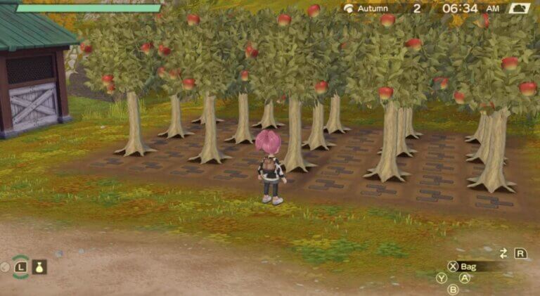 The Harvest Moon: A Wonderful Life Guide and Review